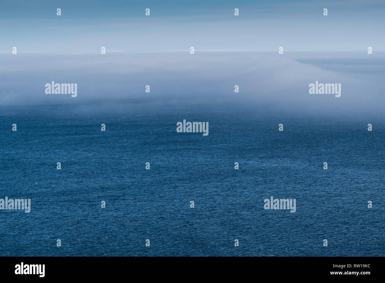 Sea fog rolling into Cape St. Mary's, Newfoundland Stock Photo - Alamy