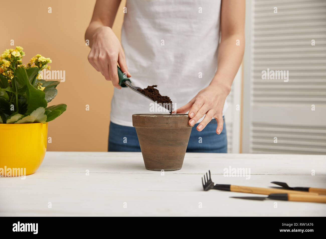 Clay filling hi-res stock photography and images - Alamy