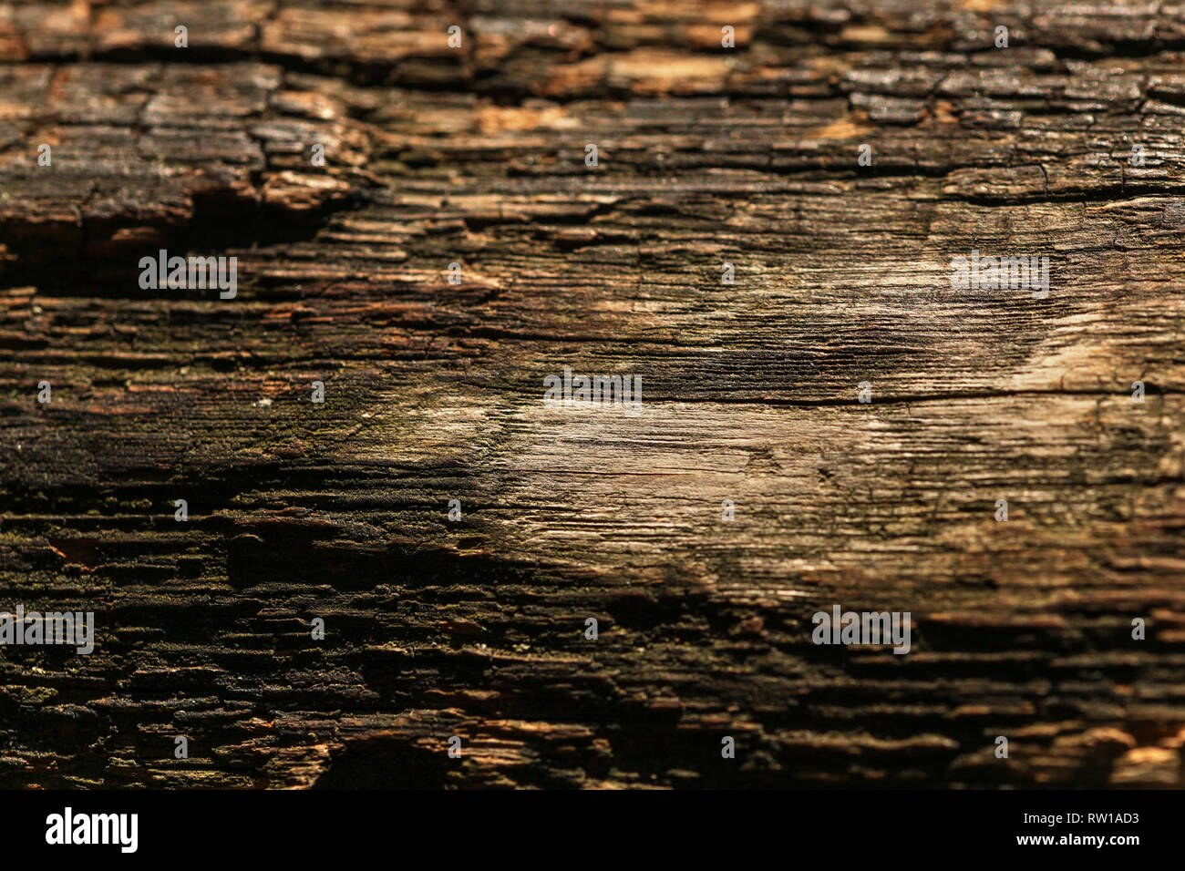 Rotten wooden structure hi-res stock photography and images - Alamy