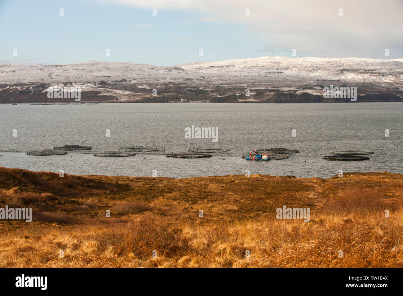 Fish farm in Isle of Skye. Scotland Stock Photo - Alamy