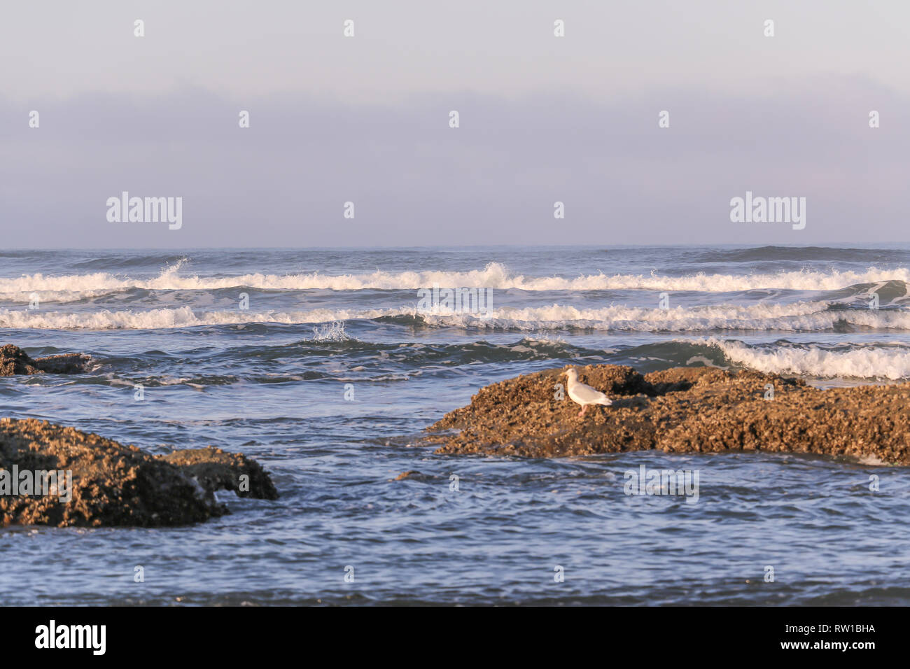 Travel to Olympic National Park to a wild, vast wilderness of nature at ...