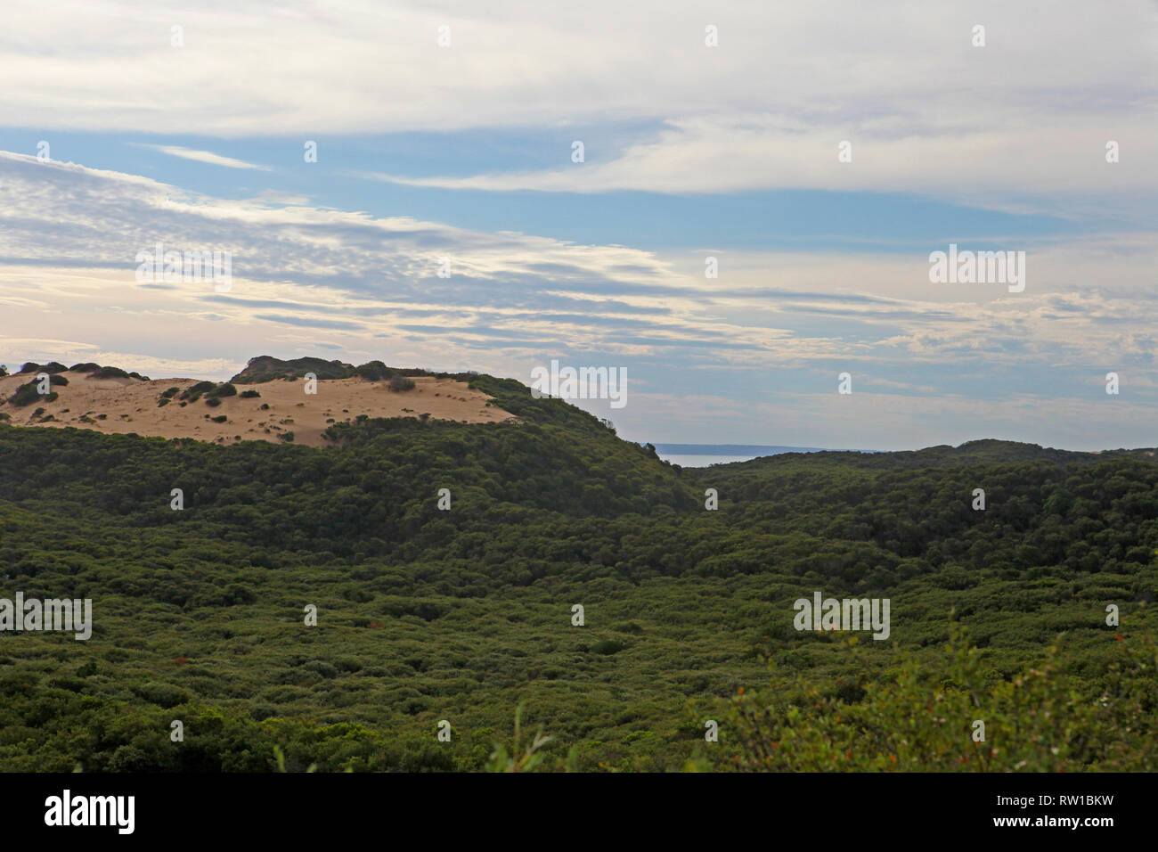 Visit Australia. Scenics and views of Australia. Wilsons Promontory ...