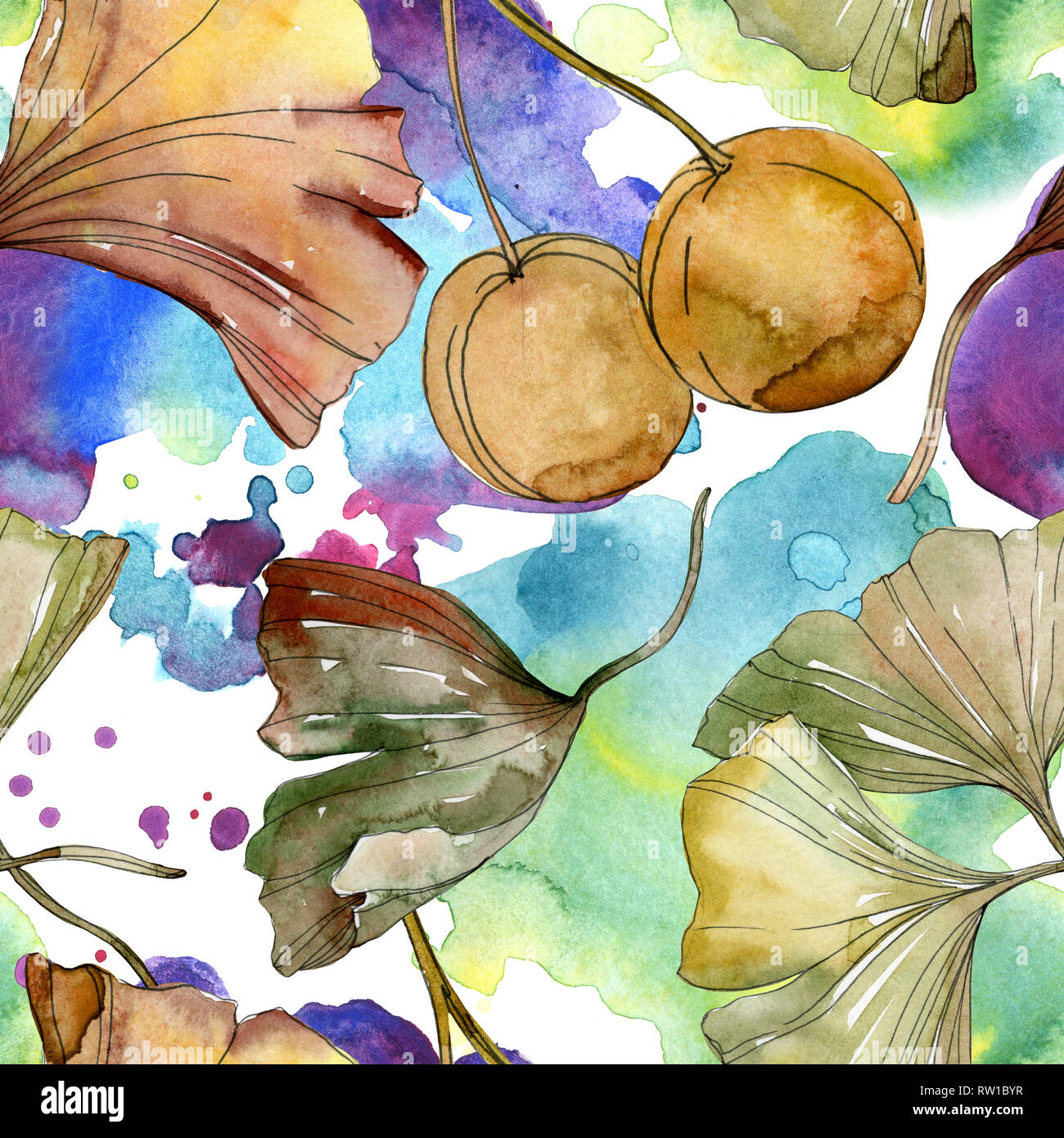 Green red ginkgo biloba leaves. Leaf plant botanical floral foliage ...