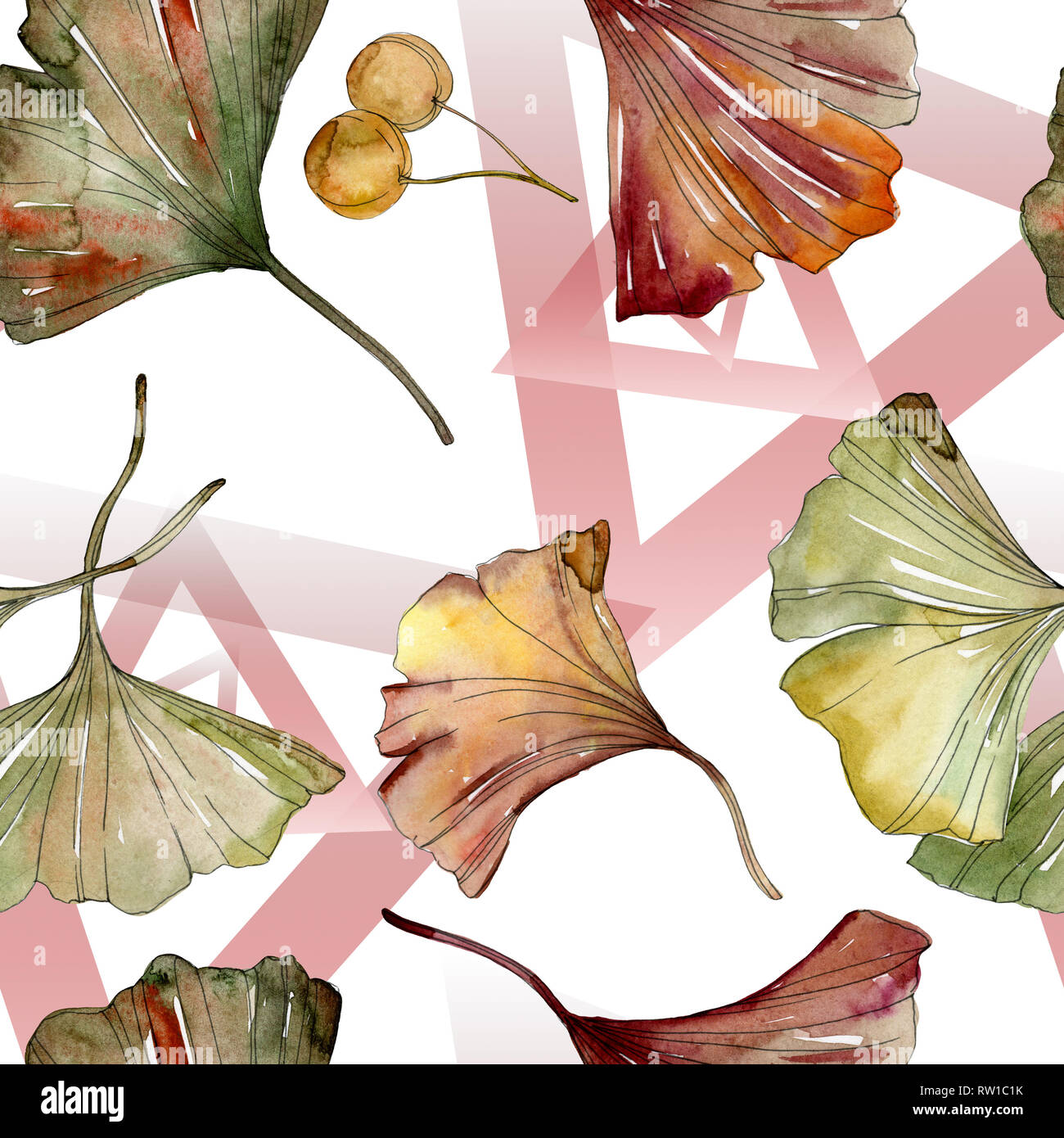 Green red ginkgo biloba leaves. Leaf plant botanical floral foliage ...