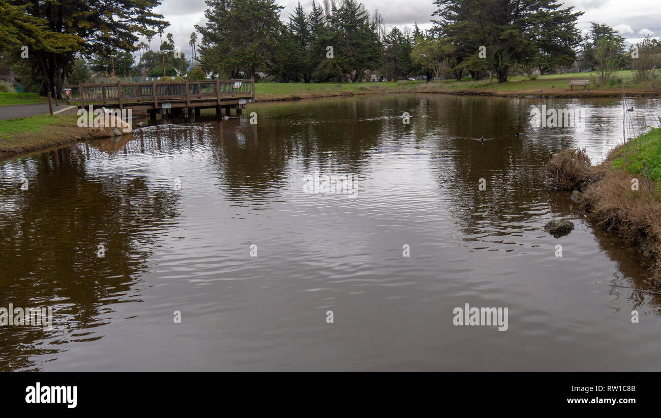 Tidal pond hi-res stock photography and images - Alamy