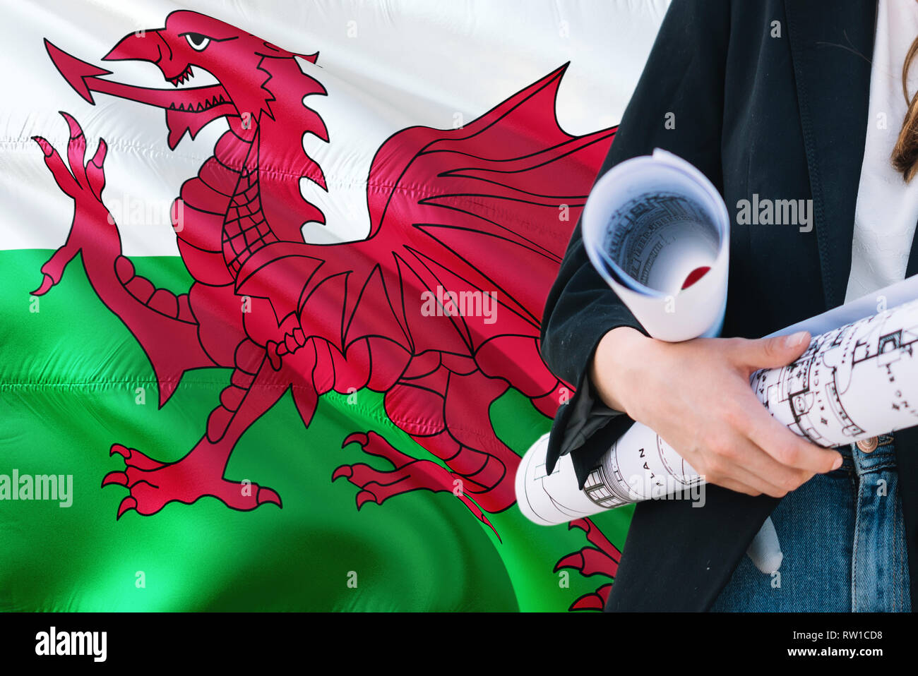 Welsh Architect woman holding blueprint against Wales waving flag ...