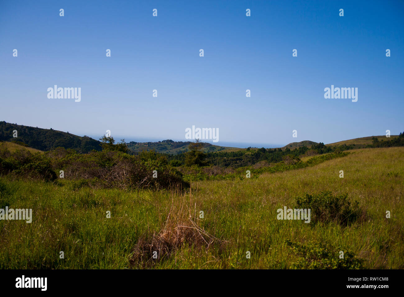 Beautiful California hills of Northern California, USA Stock Photo - Alamy
