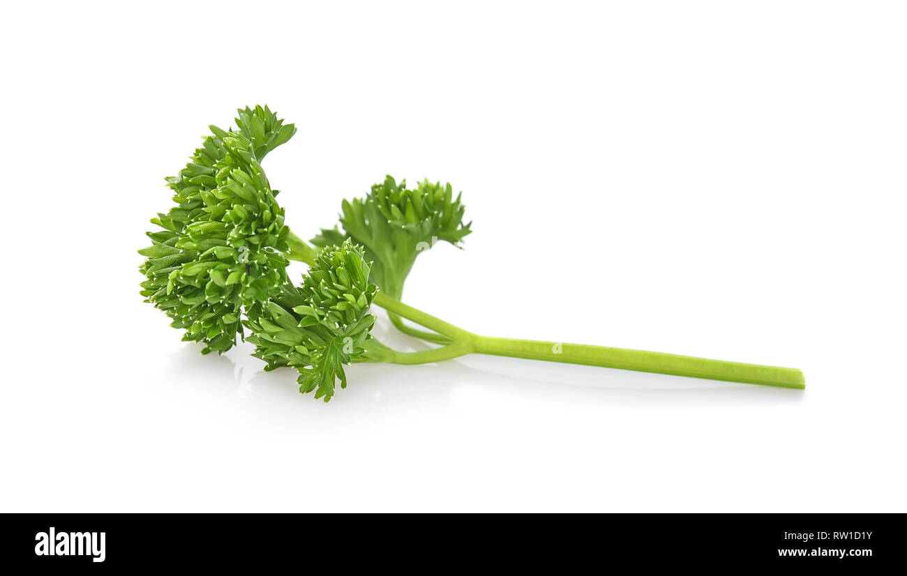 Parsley isolated on white background Stock Photo - Alamy
