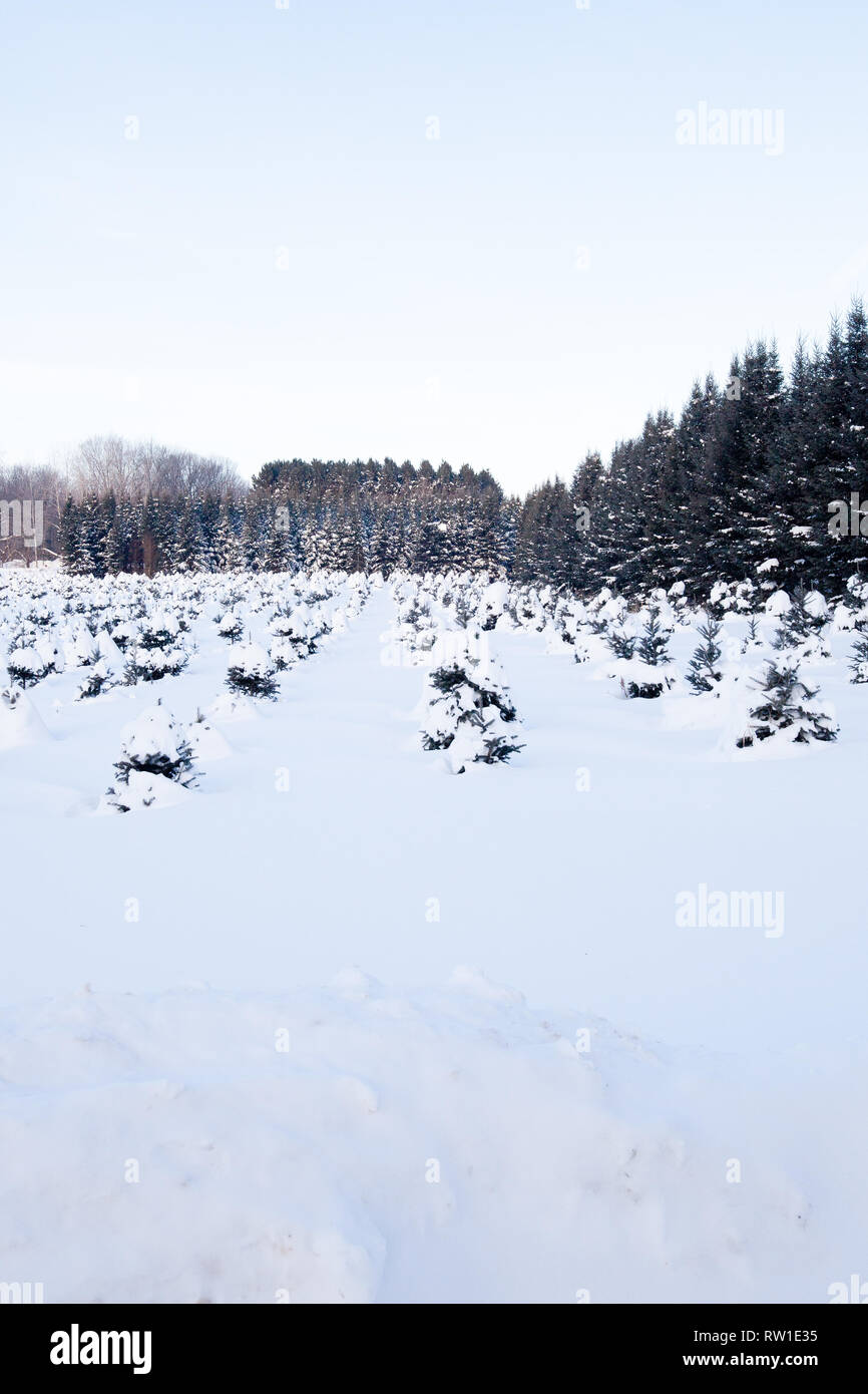 Tree crop hi-res stock photography and images - Alamy