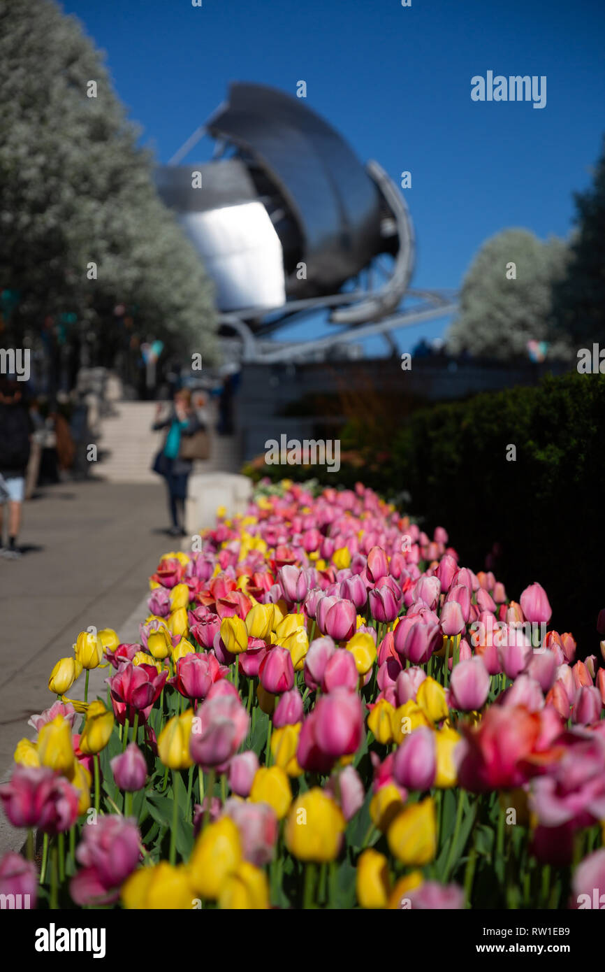 Chicago millennium park in springtime hi-res stock photography and ...