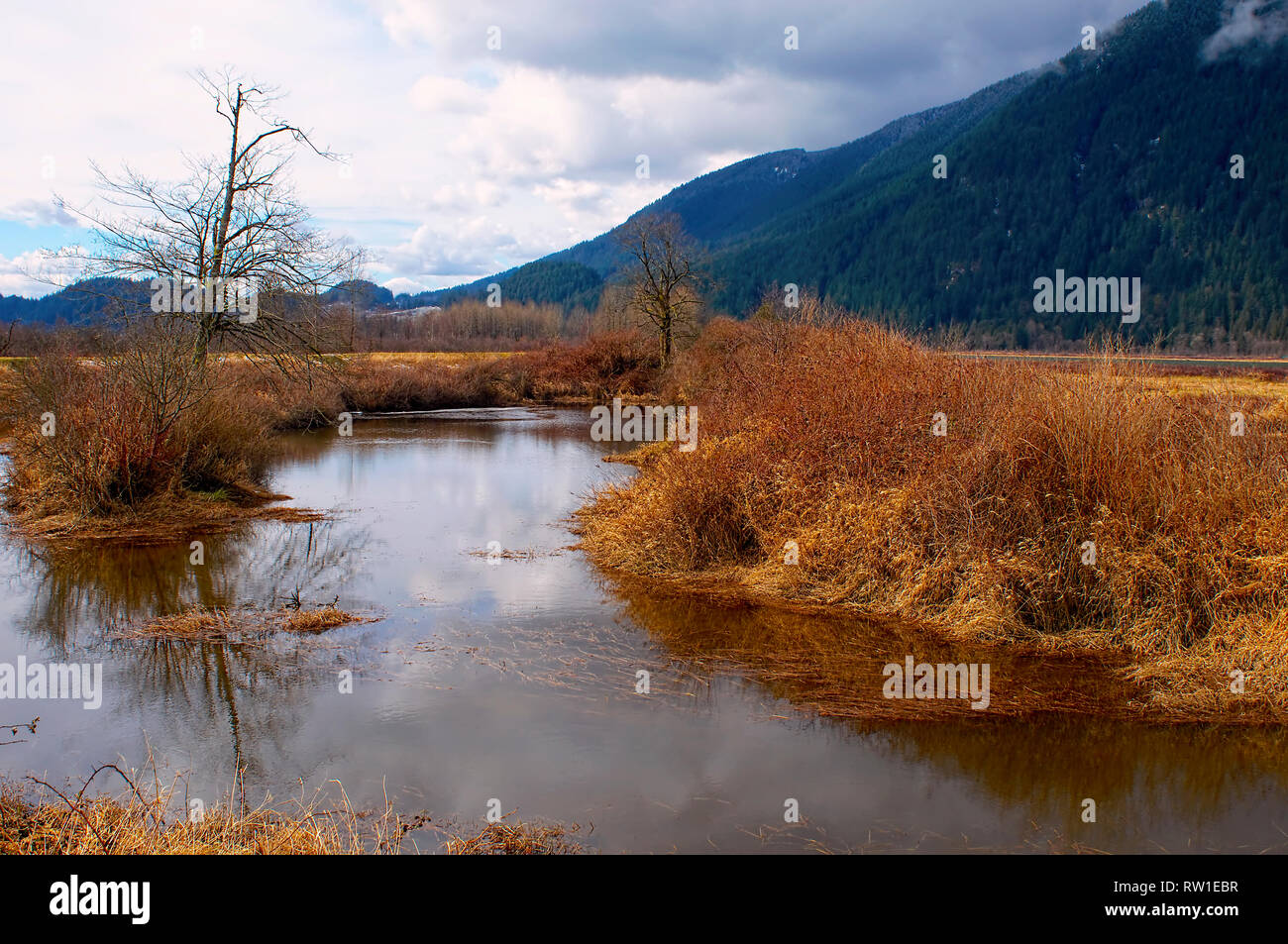 Pitt River High Resolution Stock Photography and Images - Alamy