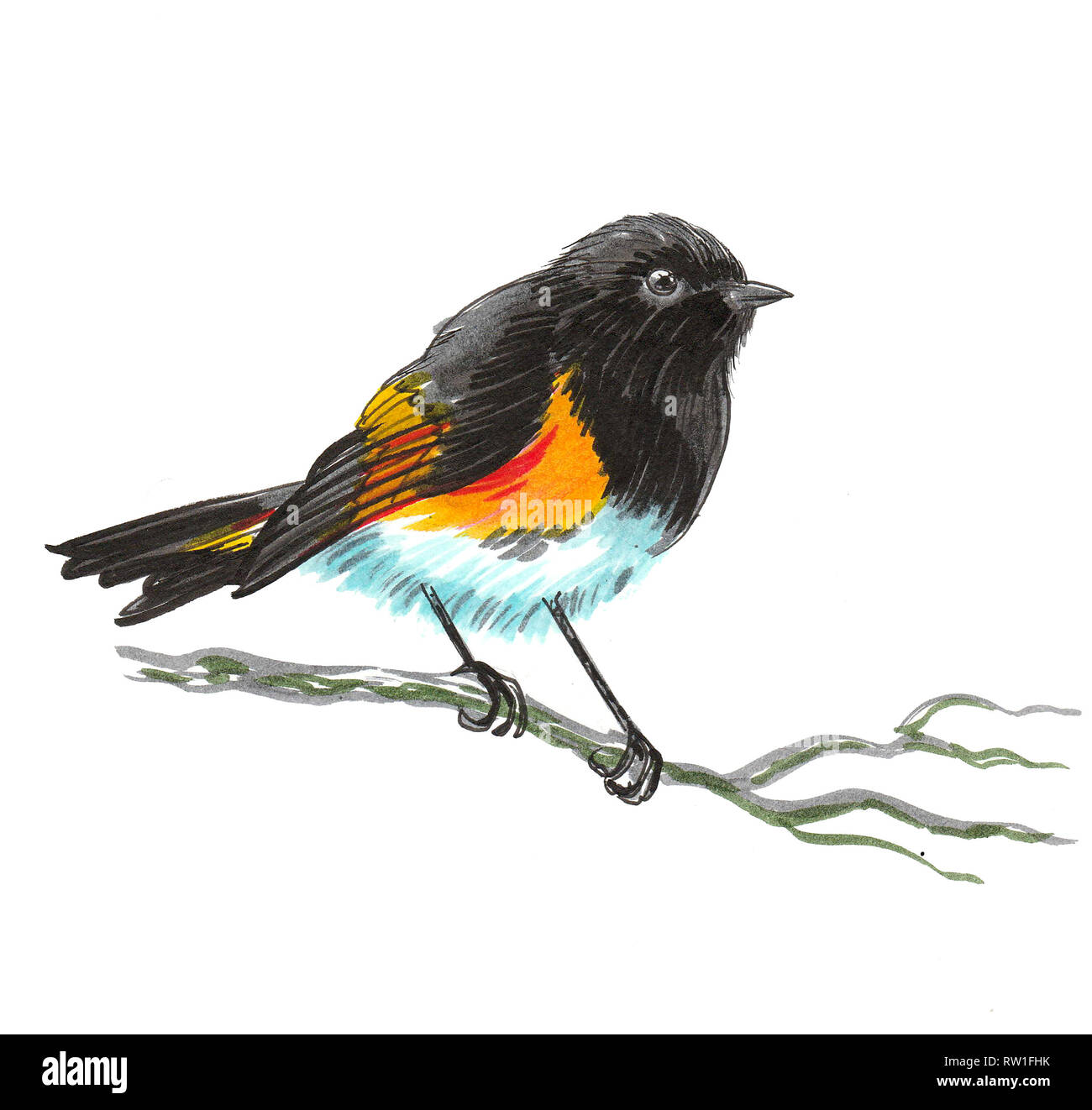 Watercolor And Ink Bird