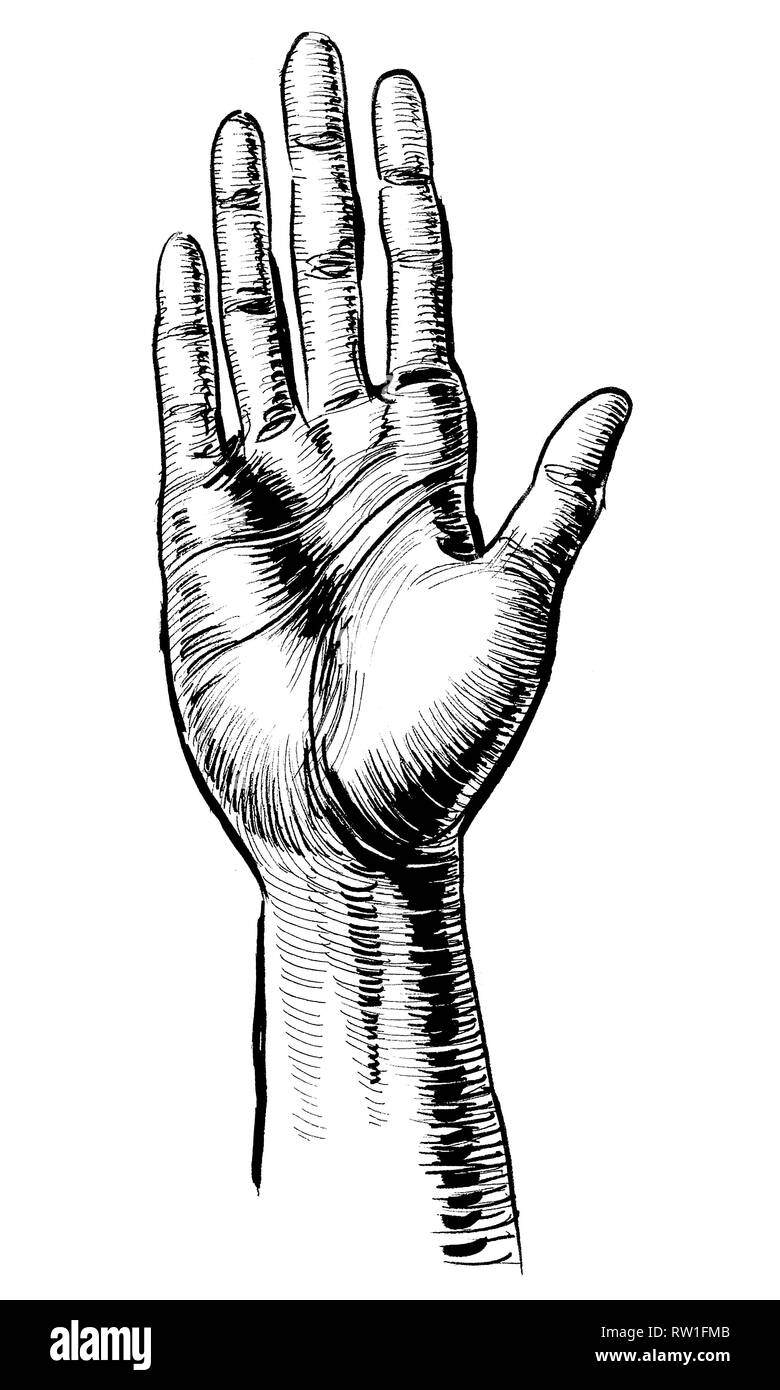 Human hand. Ink black and white drawing Stock Photo - Alamy