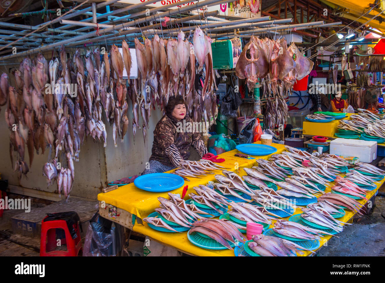The Jagalchi Fish Market in Busan South Korea Stock Photo - Alamy