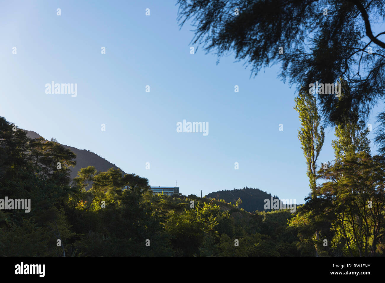 Forest trees hills sunset new hi-res stock photography and images - Alamy
