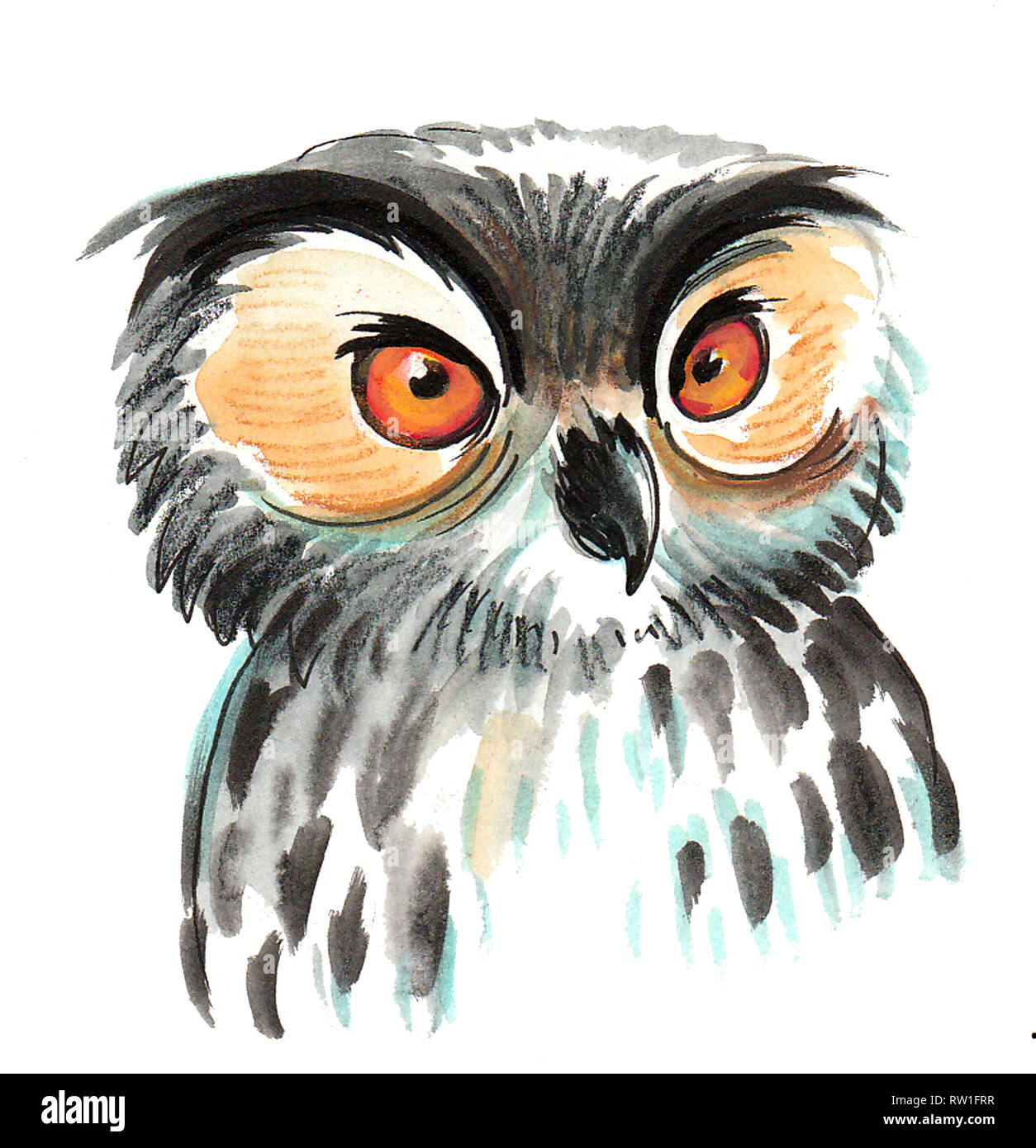 Owl bird head. Ink and watercolor illustration Stock Photo - Alamy