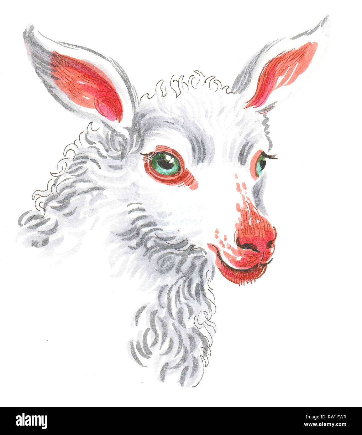Cute green eye baby sheep. Ink and watercolor illustration Stock Photo ...