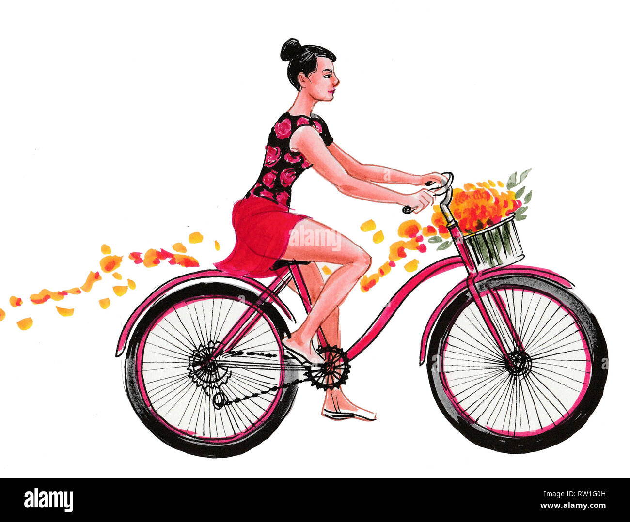 Pretty female riding a bike with a basket of flowers. Ink and ...