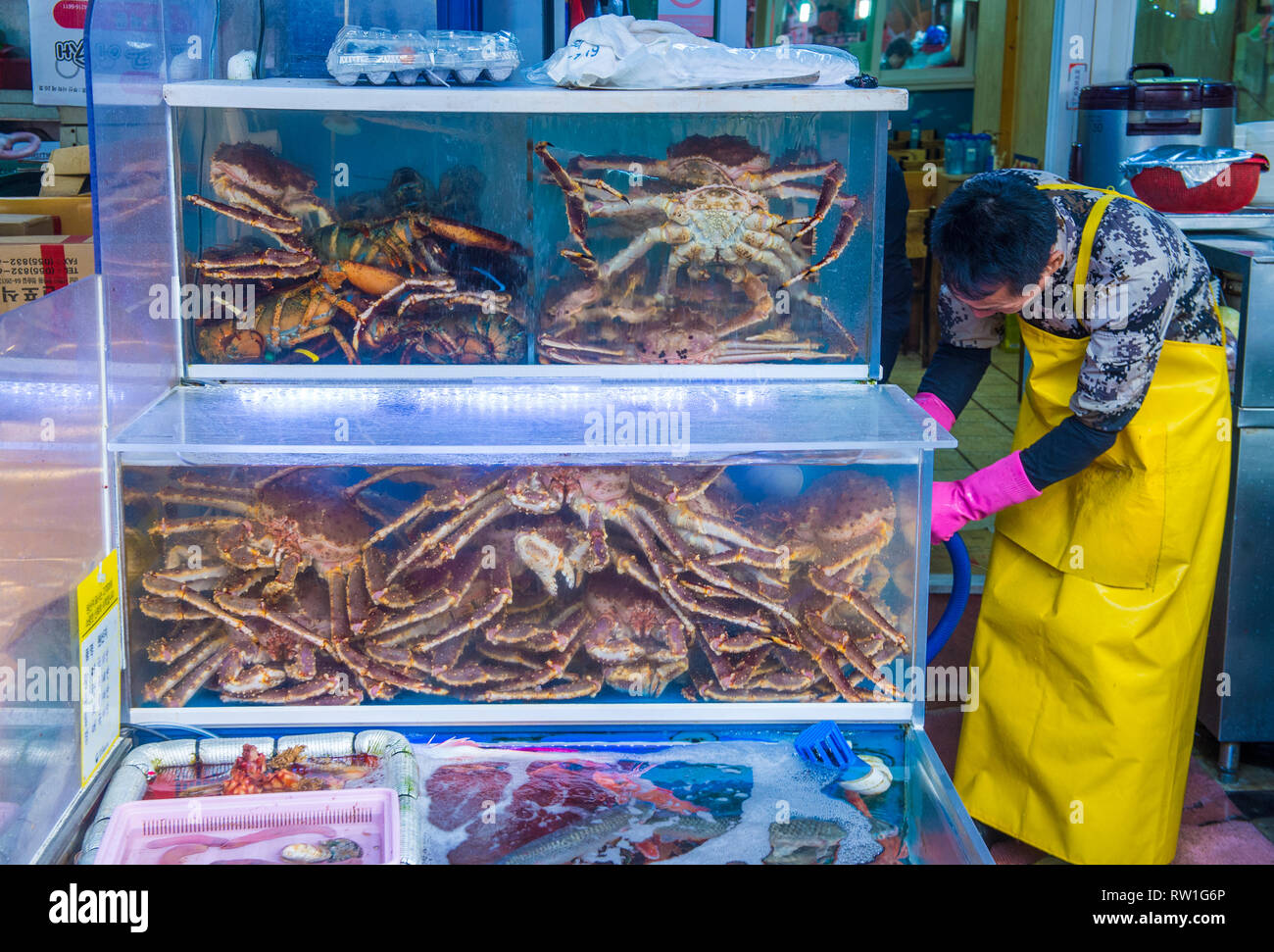 The Jagalchi Fish Market in Busan South Korea Stock Photo - Alamy