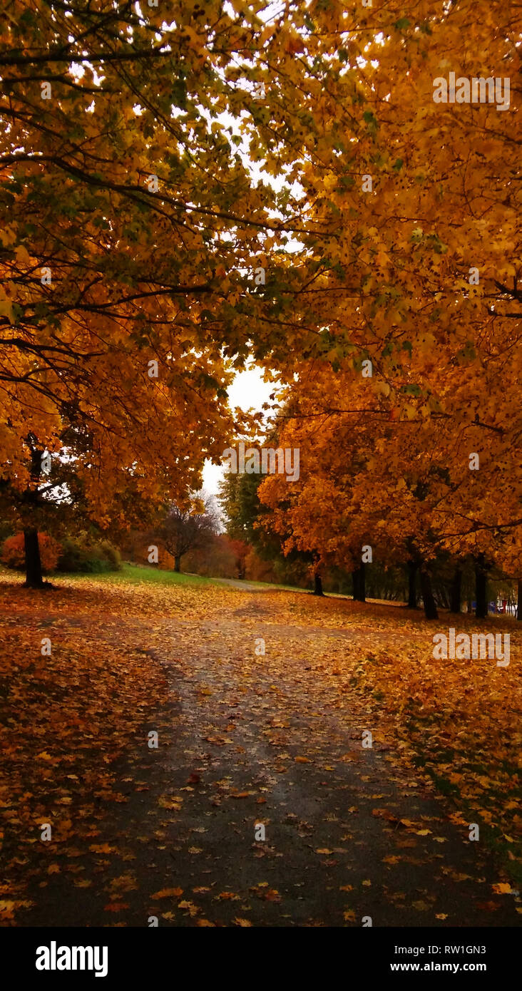 Theme park sweden hi-res stock photography and images - Alamy