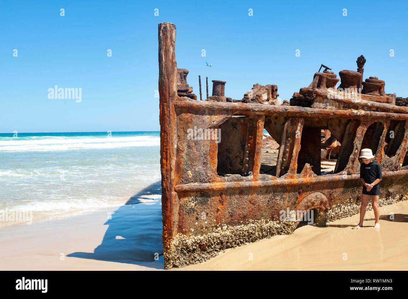 Fraser Island, Queensland, Australia Stock Photo - Alamy