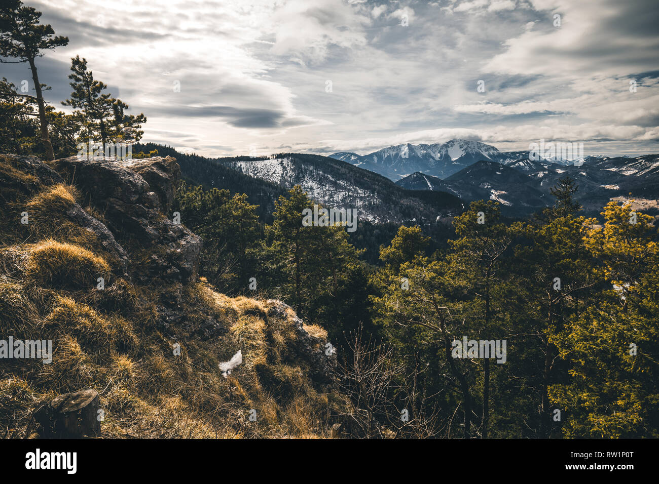 Great view of alpine hill. Picturesque and gorgeous scene. Mountain ...