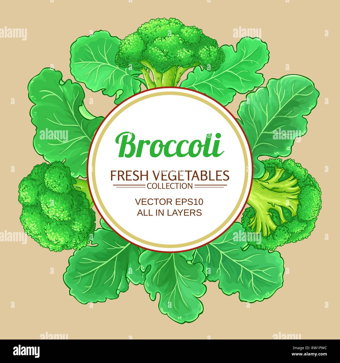 broccoli vector frame on color background Stock Vector Image & Art - Alamy