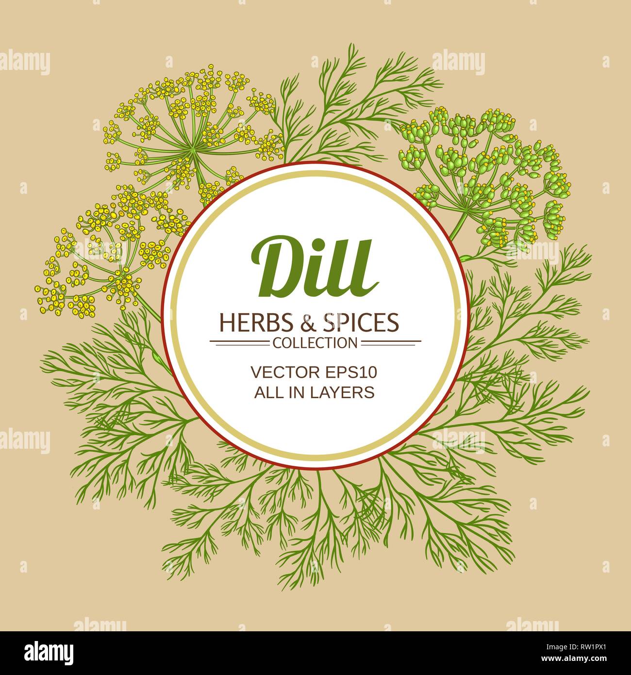 dill vector frame on color background Stock Vector Image & Art - Alamy