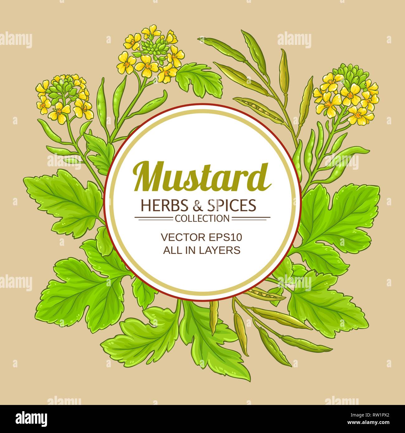 mustard vector frame on color background Stock Vector Image & Art - Alamy