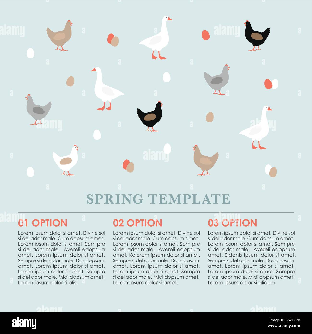 Spring infographics background, card with hens, goose and colorful ...