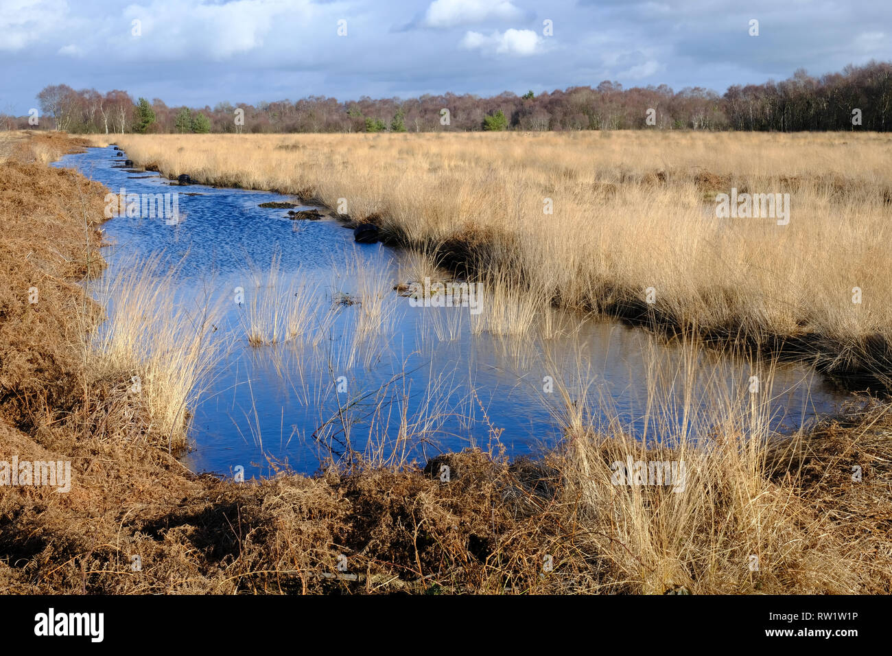 Peat moss whixall hi-res stock photography and images - Alamy