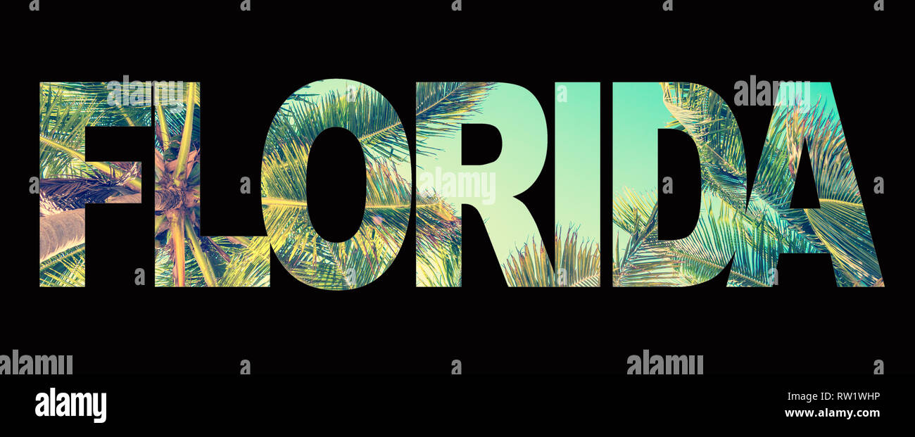 Word Florida with palm trees on black background Stock Photo - Alamy