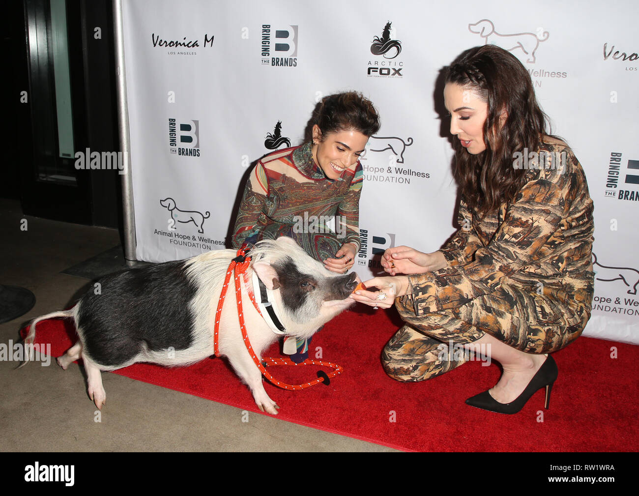 Whitney reed hi-res stock photography and images - Alamy