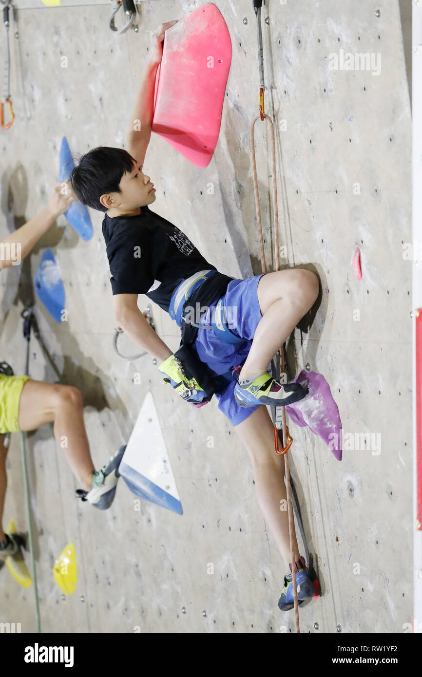 Inzai, Chiba, Japan. 2nd Mar, 2019. Shion Omata Sport Climbing : The ...