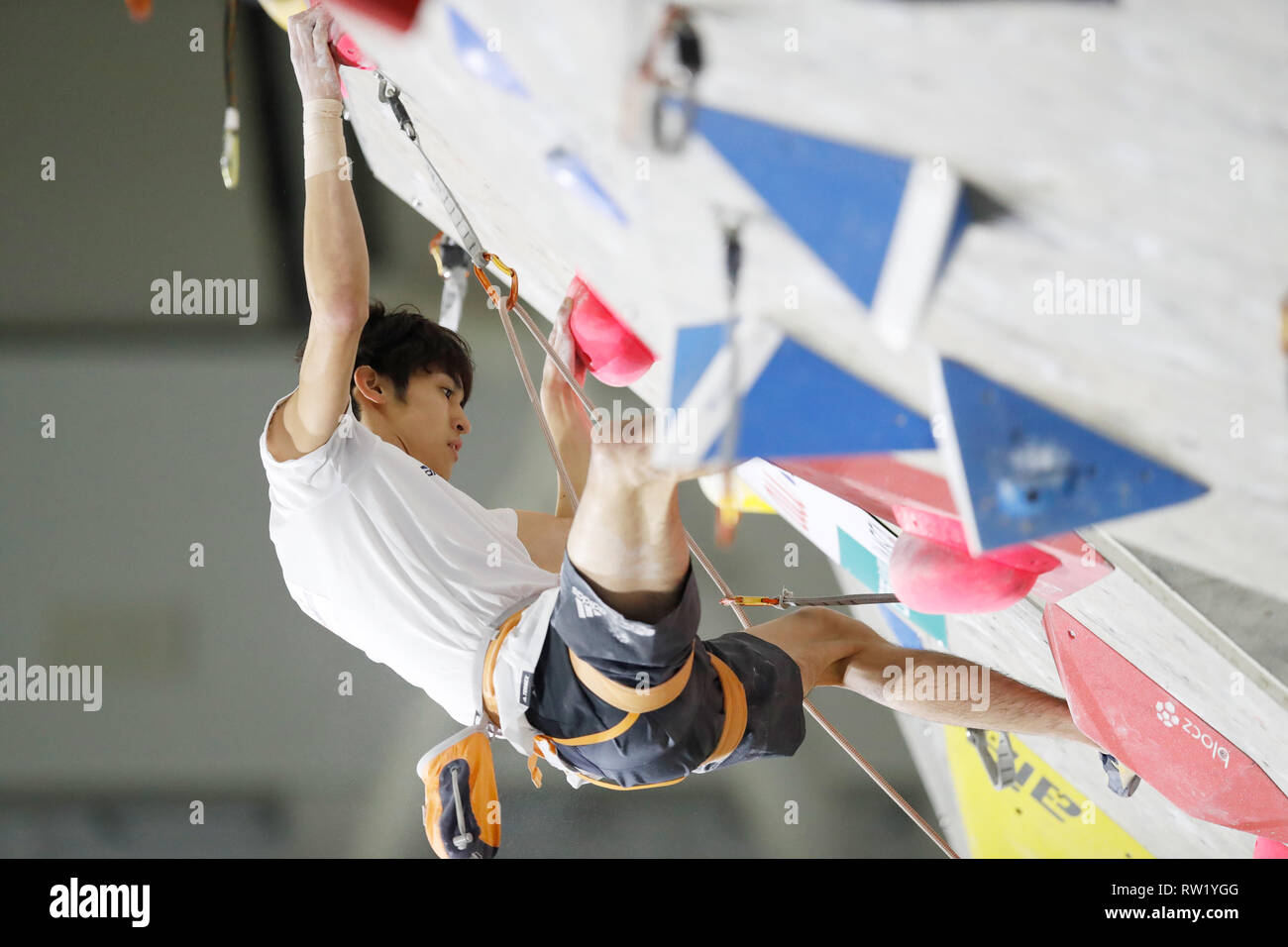 Inzai, Chiba, Japan. 2nd Mar, 2019. Meichi Narasaki Sport Climbing ...