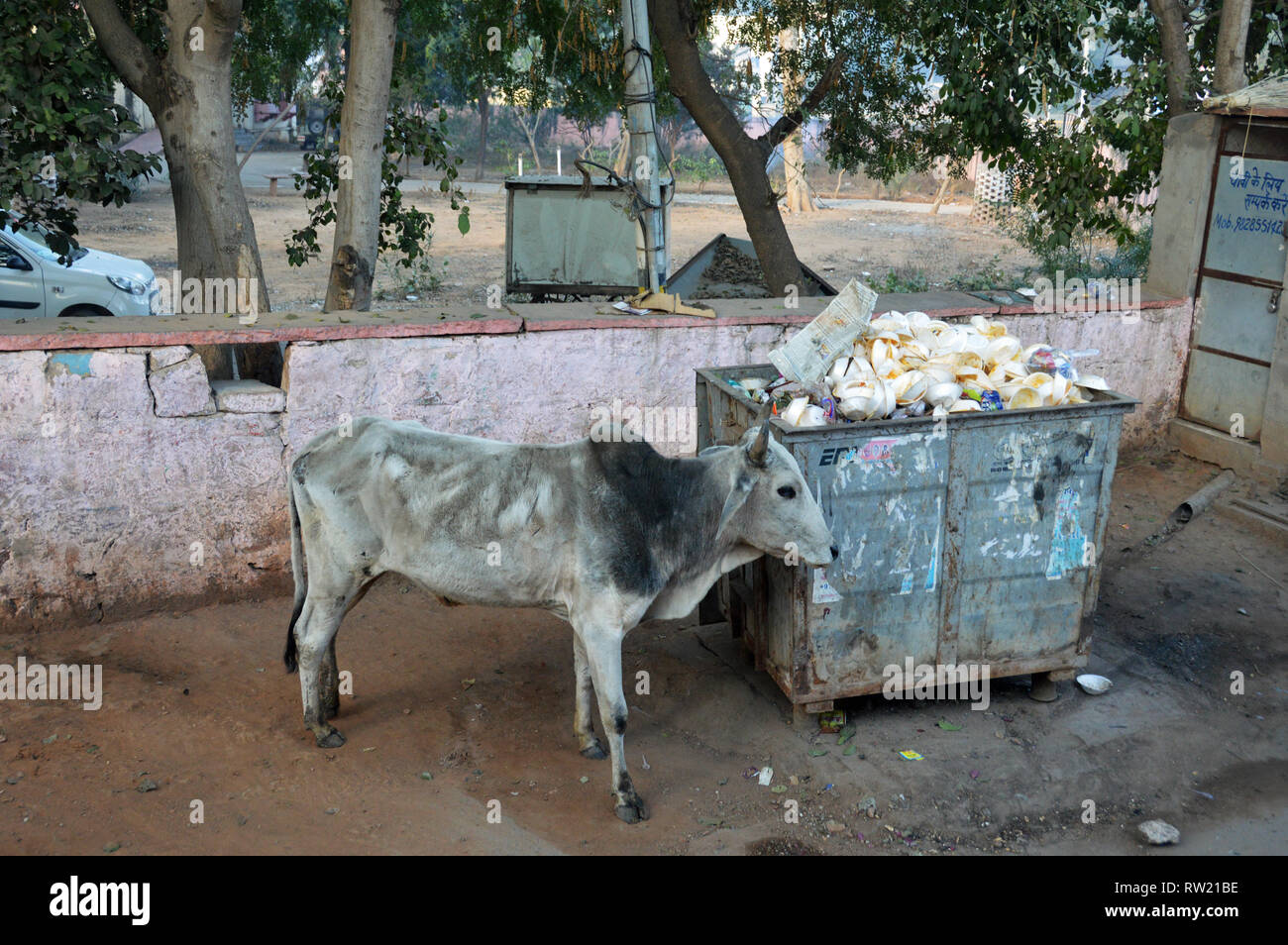 Street scene in a small town in north India (state of Rajasthan) - A ...