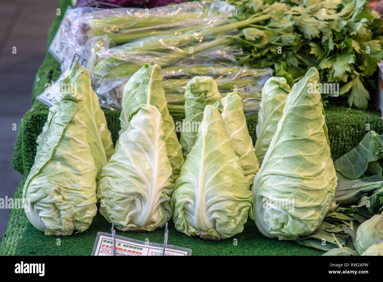 Cabbage for sale in a market in Munich, Germany Stock Photo - Alamy