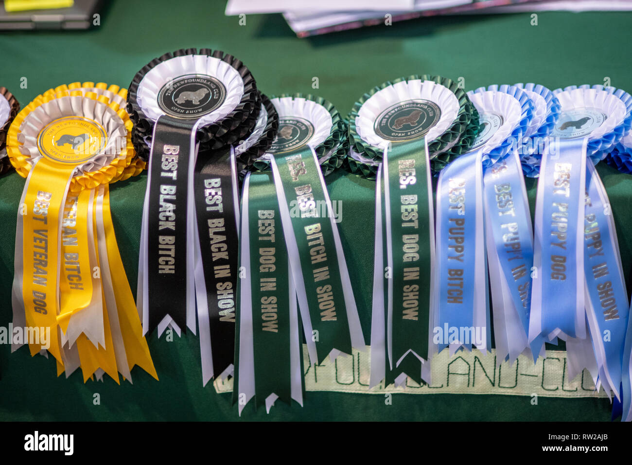 Various dog breed hi-res stock photography and images - Alamy