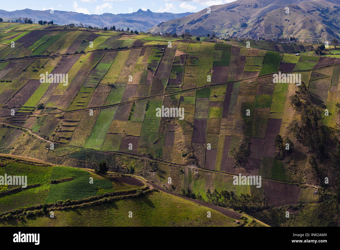 Andean crops hi-res stock photography and images - Alamy