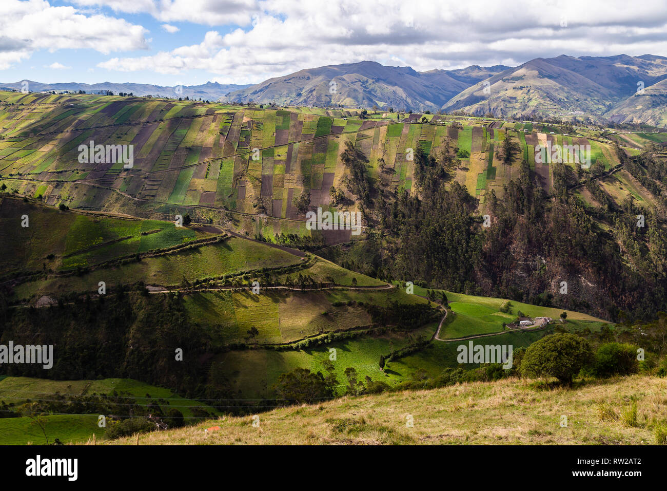 Plots of Andean crops on the slopes of the mountains of the province of ...