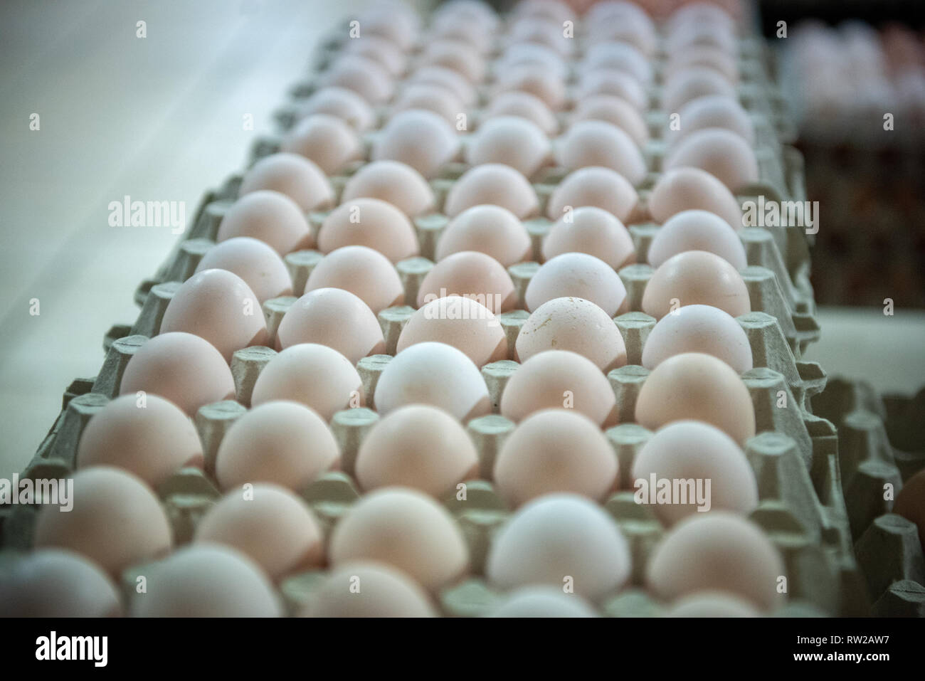 Recently collected hi-res stock photography and images - Alamy