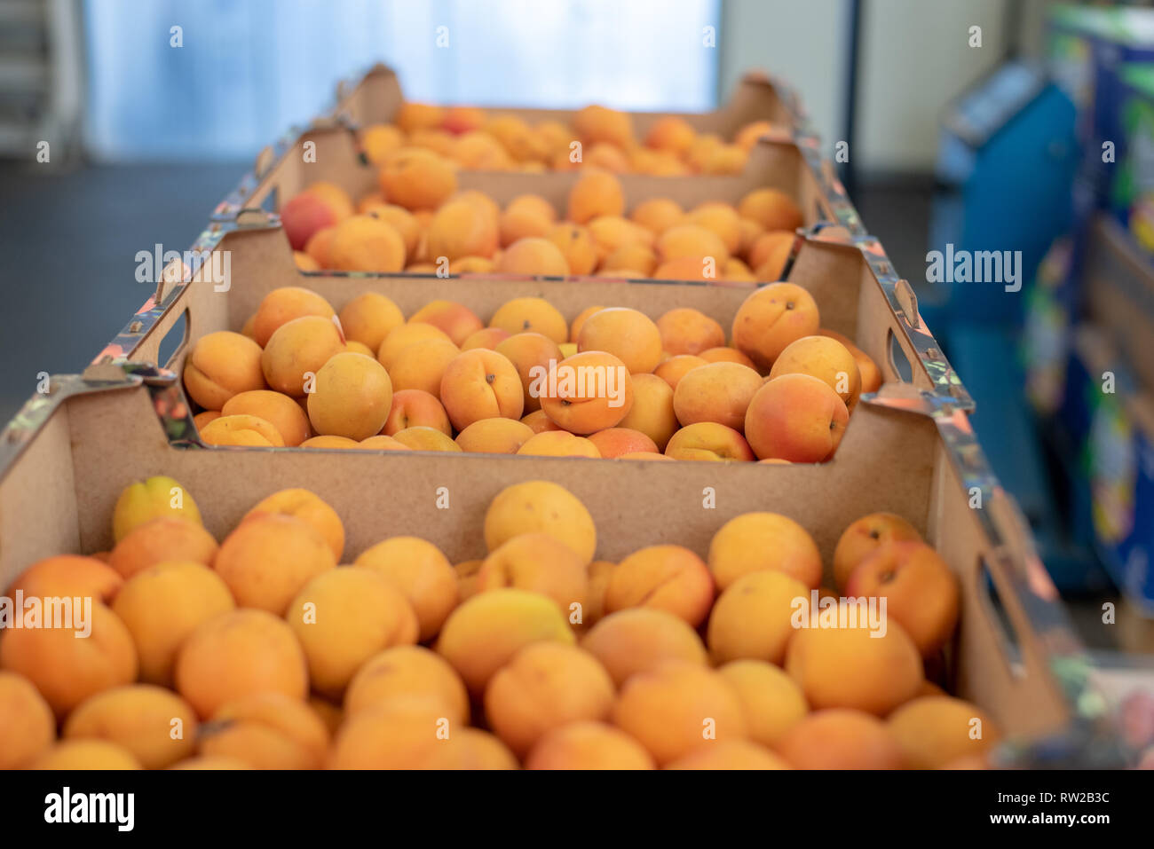 Apricots sold at market hi-res stock photography and images - Alamy