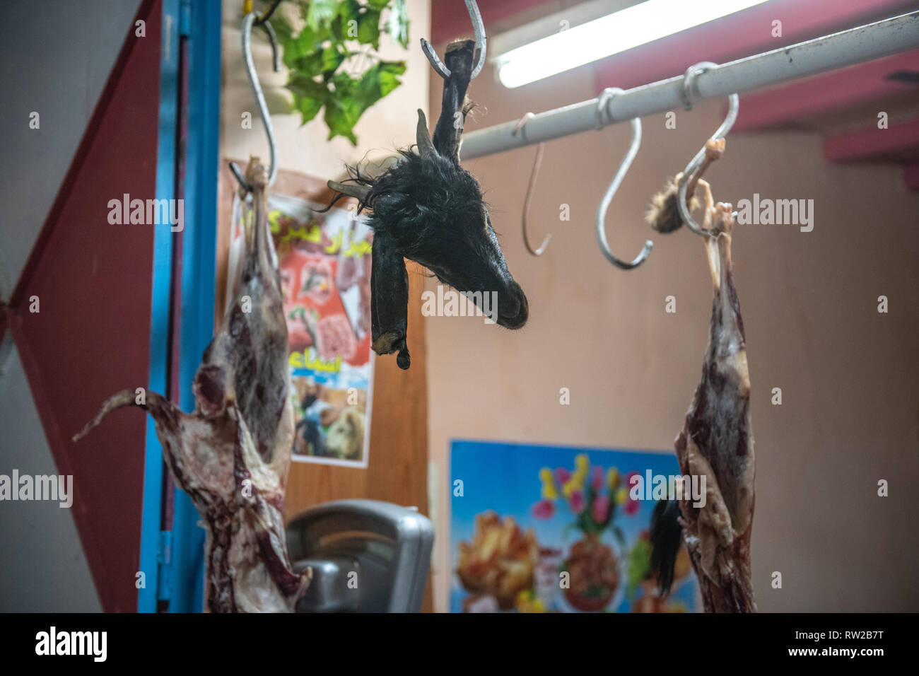 Slaughtered lamb hi-res stock photography and images - Alamy