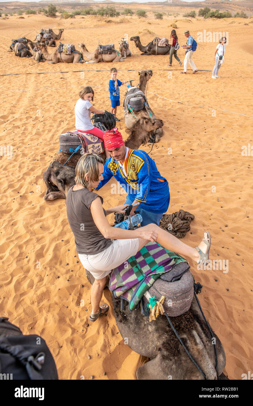 Tourist climb aboard a camel, Merzouga, Morocco Sahara Desert - Erg ...