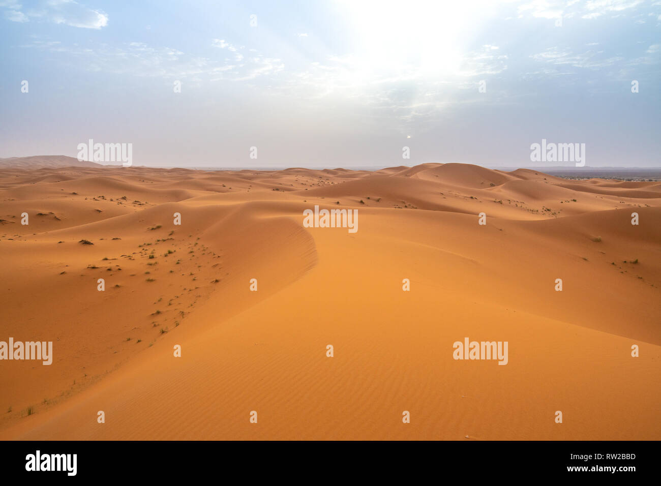 Transverse dunes hi-res stock photography and images - Alamy