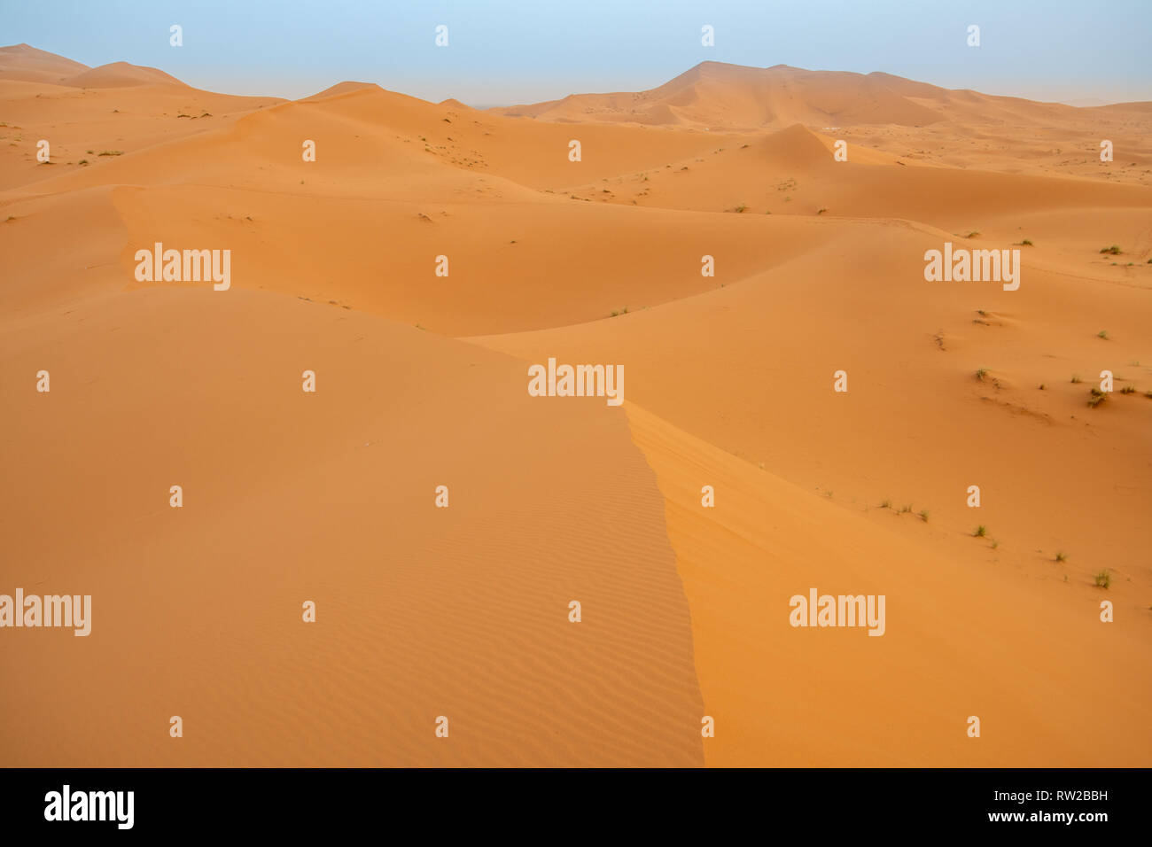 Transverse dunes hi-res stock photography and images - Alamy