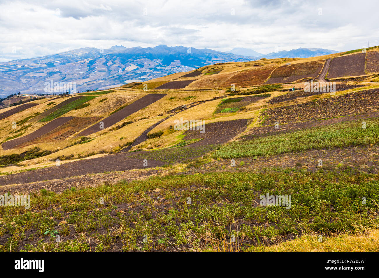 Andean potato farmer ecuador hi-res stock photography and images - Alamy