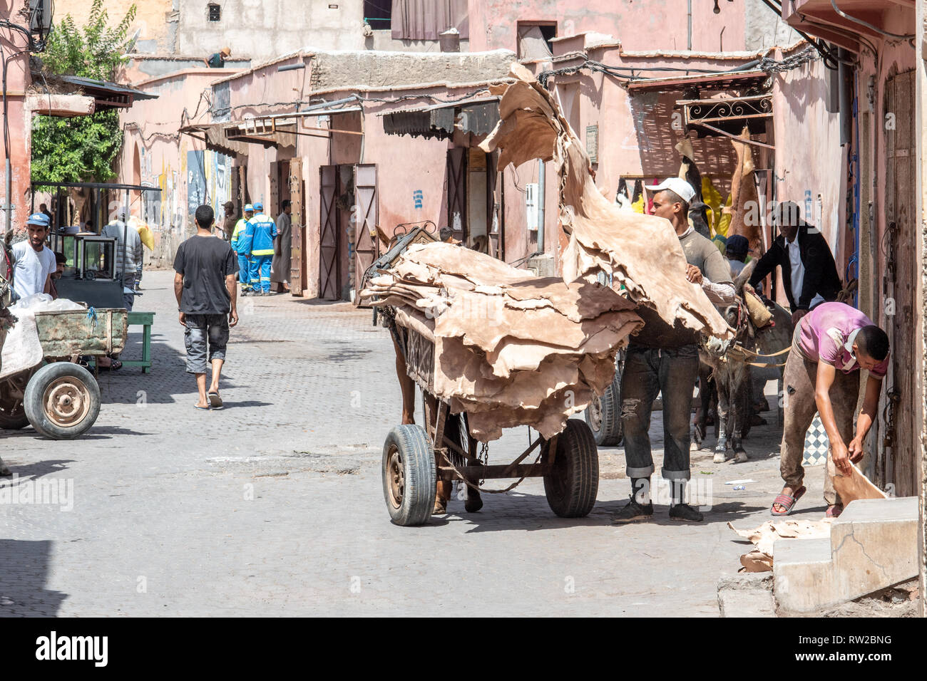 Middle east donkey cart hi-res stock photography and images - Alamy