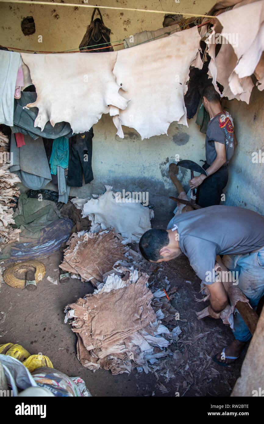 Men removing fur from animal hides before tanning process at tannery ...