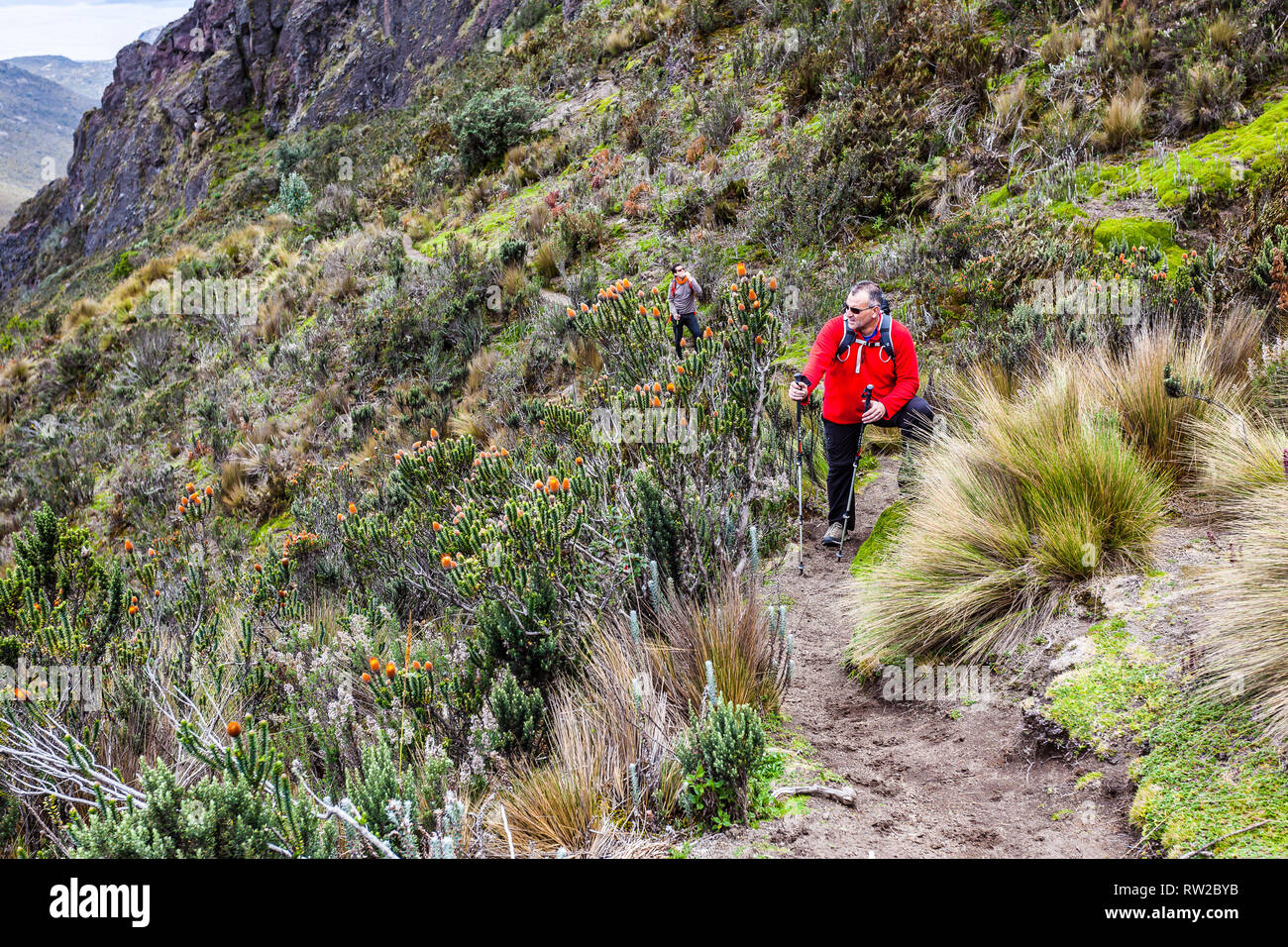 Machachi hi-res stock photography and images - Alamy